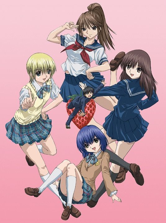 Ichigo 100% - Serie TV 2005 - Manga news